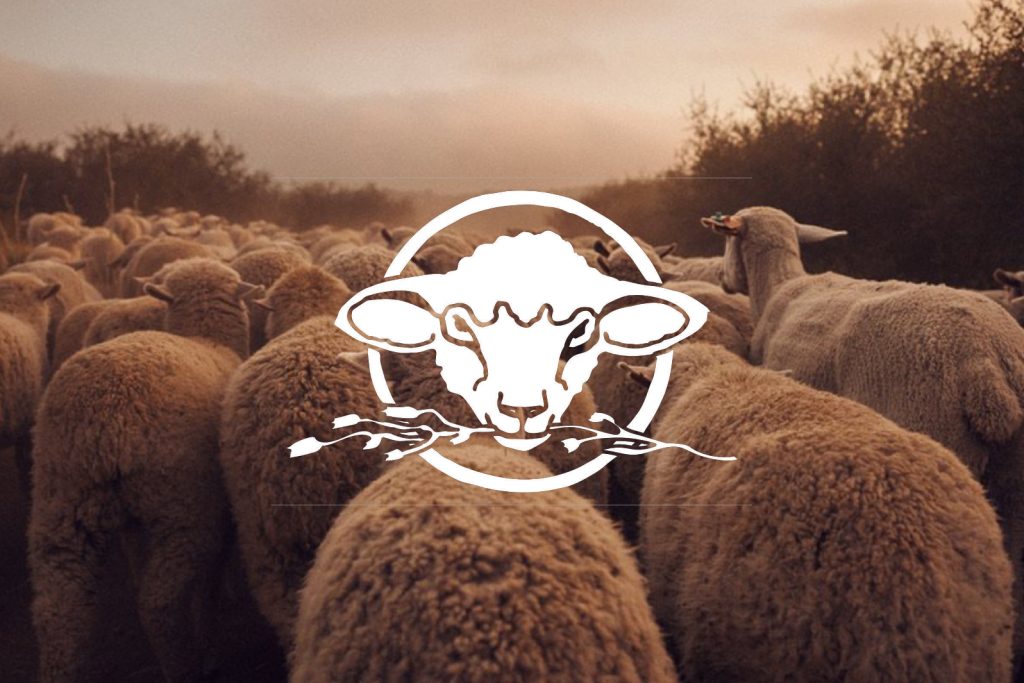 California Lamb | Locally Produced, Sustainably Raised & Very Delicious